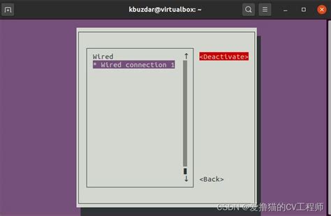 Ubuntu 虚拟机网卡丢失：failed To Restart Rvice Unit Networking