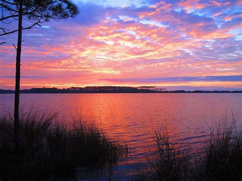 10 Beautiful Beaches Near Tallahassee In Florida