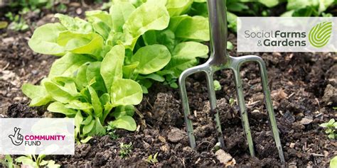 Growing Resilience Digging Deeper Social Farms And Gardens