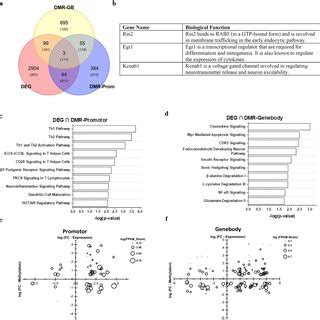 Integrative Analysis Of Differential Gene Expression And DNA