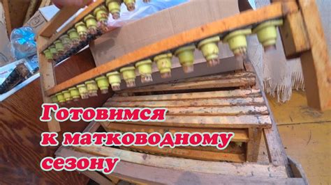 ГОТОВИМСЯ К МАТКОВОДНОМУ СЕЗОНУ, РАМКИ, ЗАСТАВНЫЕ ДОСКИ, ЗИМОВКА ПЧЁЛ И ...