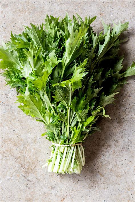 Mizuna Recipes Fresh And Flavorful Dishes