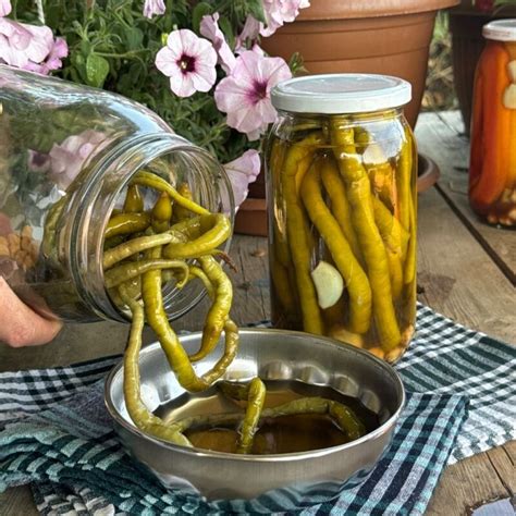 Biber Turşusu Ev Yapımı Avokadocu Ayşe