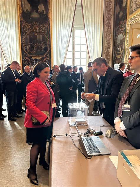 Linterruption Volontaire De Grossesse Inscrite Dans La Constitution
