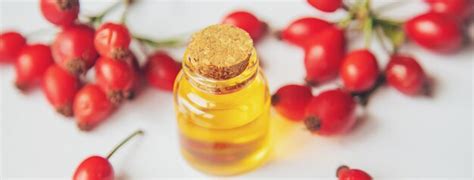 Premium Photo Rosehip Seed Essential Oil In A Small Bottle