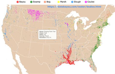 Bayous Vs Swamps Names And Locations Of Us Wetlands