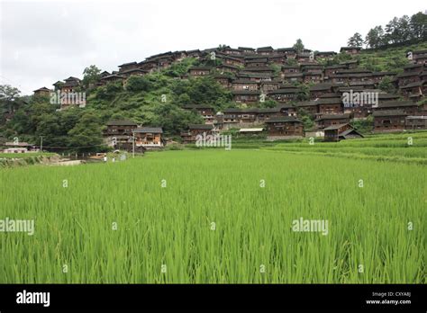 Xijiang Miao Village Guizhou China The Largest Miao Village In China