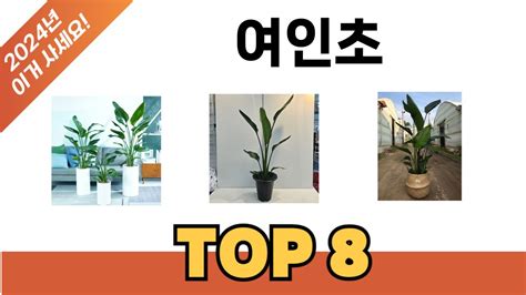 요즘 가장 인기있는 여인초 Top 8 쇼핑 정보 Youtube