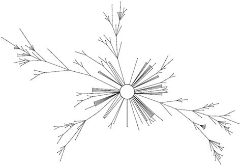 Typical Connected Component Of A State Transition Graph Taken From 1
