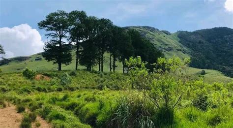 තනිවුනු ගම පුංචි නවසීලන්තය හෙවත් මැණික්පාලම Elakiri