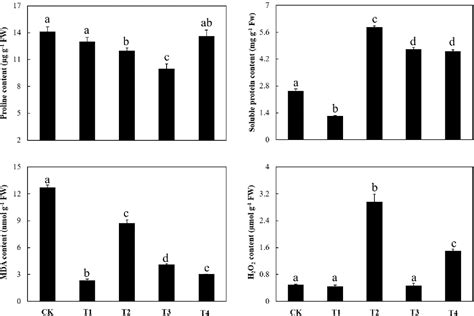 Figure 1 From Integrated Metabolomic And Transcriptomic Profiling