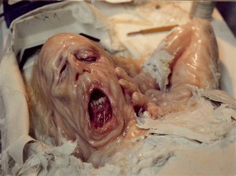 Horror Remakes That Are Actually Pretty Great IHorror