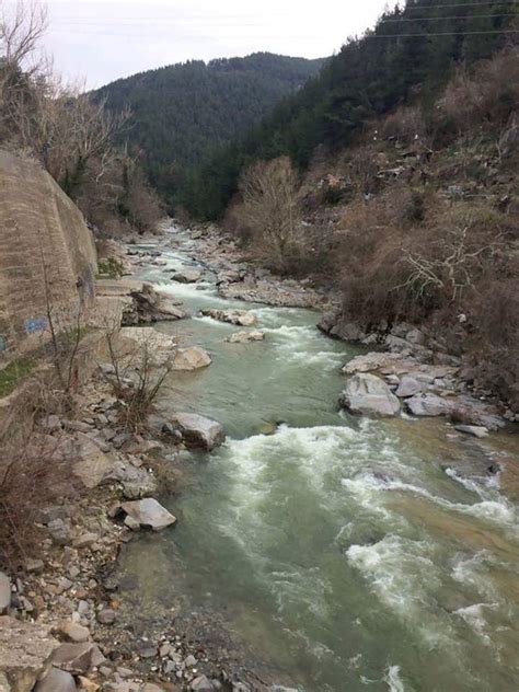 Από πού είσαι ποταμάκι Σχολεία ΑΞΙΟΝ