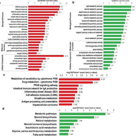 Enrichment Analysis Of Differentially Expressed Proteins Upon Hepatic