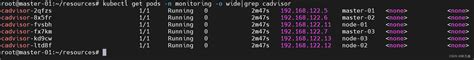 Prometheus收集node Exporter和cadvisor指标数据prometheus语言获取node标签 Csdn博客