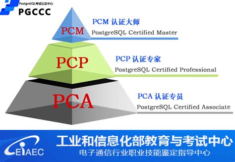 【pgccc】postgresql 14 小版本分析，哪个版本不建议使用 pg 哔哩哔哩