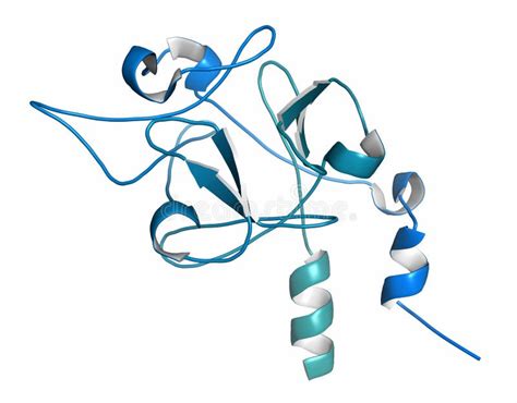 Fibroblast Growth Factor 9 Fgf9 Glia Activating Factor Protein Plays