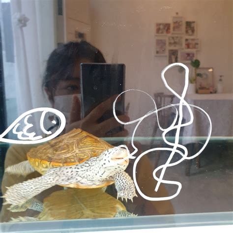 유리에 쓰는 지워지는 펜 캐시프릿 네이버 블로그