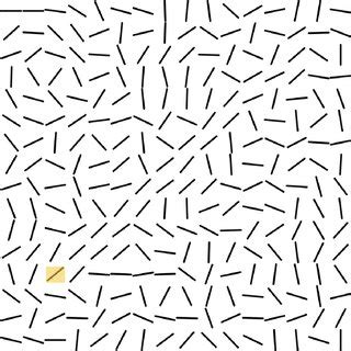 The Line Segment Detector LSD Line Support Regions Are Gathered
