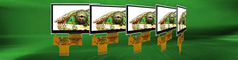 LCD Standard And Graphic TFT Displays Monochrome LCD Panel