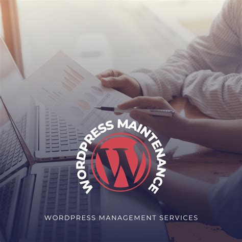 Wordpress Database Cleanup Marketing By Ali