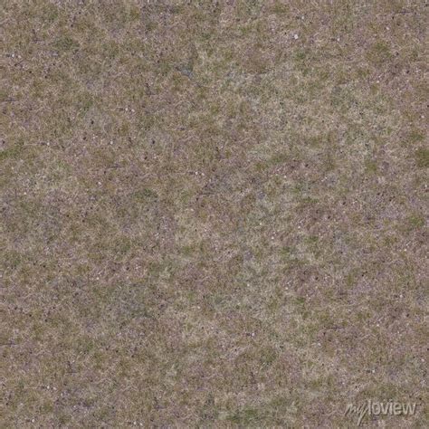 Dry Grass Seamless Texture Material Map For Creating Materials Posters For The Wall • Posters