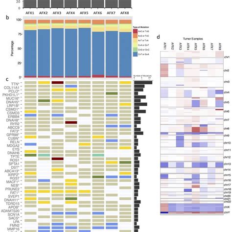 Whole Exome Sequencing Identifies Copy Number Variations And Frequent