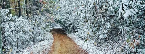 Buffalo Hump 50k25k February 9 2019