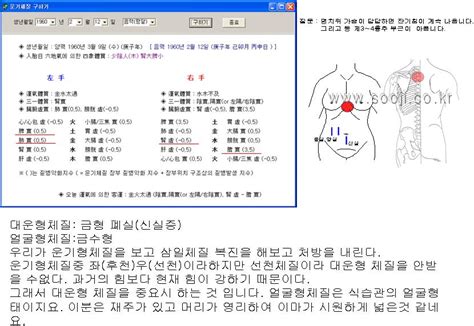 Daum 카페