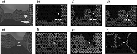 Simulated Prosthetic Vision Renderings A IRR Point Of View With