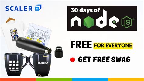 New Swags From Scaler For Free 30 Days Challenge In 2024 Youtube