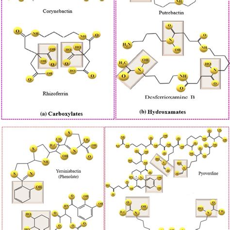 The Advantages And Disadvantages Of Organic Acids And Inorganic Acids