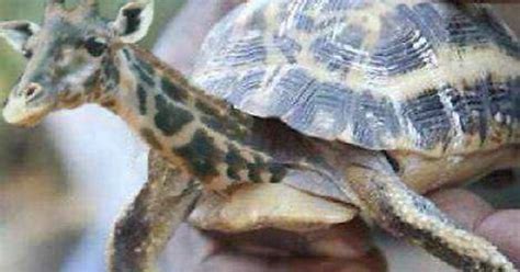 Imgurs Server Album On Imgur