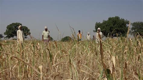 Uneven Sub Par Monsoon Drags Kharif Sowing Latest News India Hindustan Times