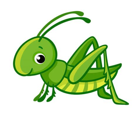 Dibujo De Saltamontes En Las Plantas Para Colorear Dibujos Infantiles