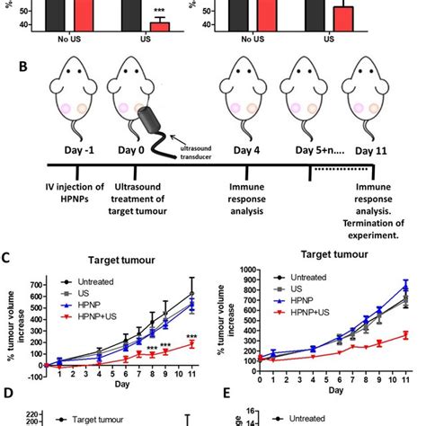 Biodistribution Studies For The Nanoparticles Injected In C57bl6 Mice
