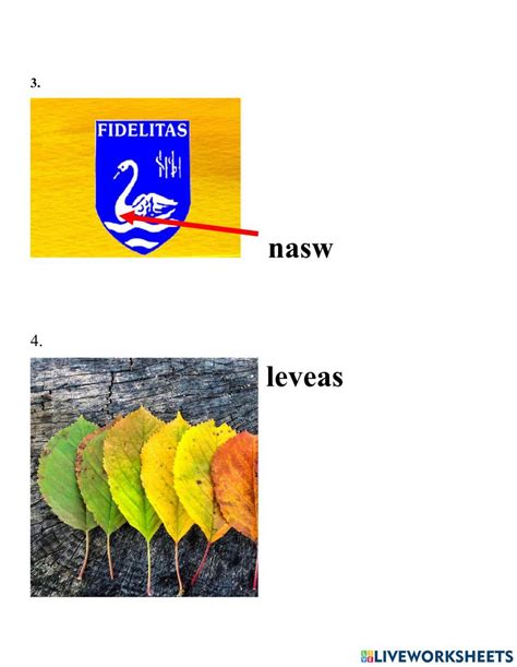 969789 Spelling Test Sashashps20 Liveworksheets