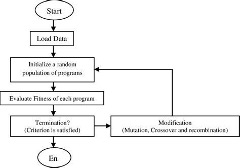 Genetic Programming Solution Procedure Download Scientific Diagram