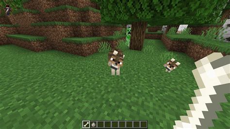 Where Do Wolves Spawn In Minecraft