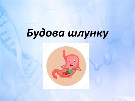 Презентація Травлення в шлунку