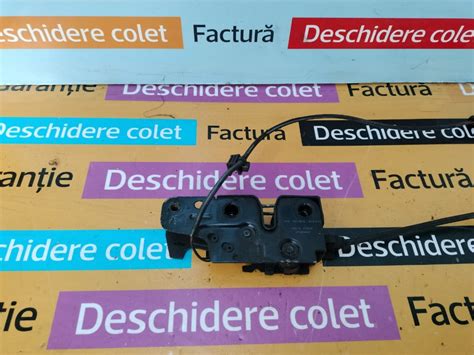 Broasca Capota A4 B8 1754248670