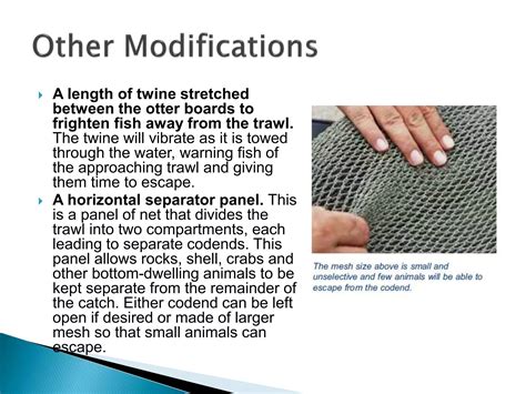 Bycatch Reduction Devices Pptx