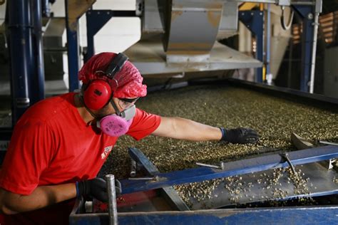 Inflação Desacelera Em Junho No Brasil E Registra 423 Em 12 Meses