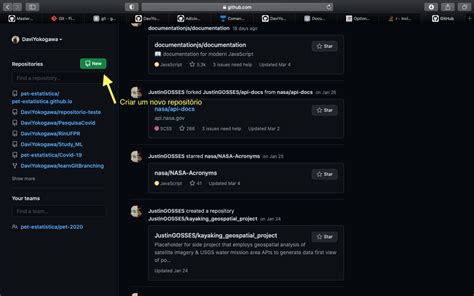 Guia R Pido De Git E Github Pet Estat Stica Ufpr