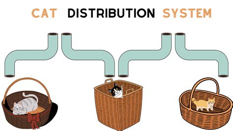 Cat Distribution System