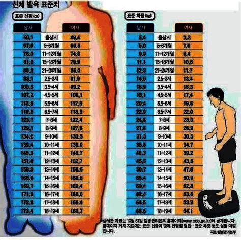 재만 헬스기구가 필요 없는 코어 강화를 위한 간단한 운동 3가지를 운동을 해보자 【플랭크】 팔꿈치를 바닥에 대고 몸을 곧게 펴서 버티는 자세로 최소 30초 유지