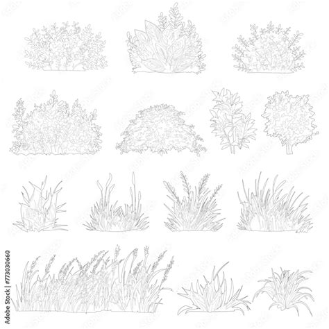 Cad Vegetation Linear Illustrations Stock Vector Adobe Stock