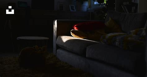 소파와 바닥에 고양이가 있는 거실 사진 Unsplash의 무료 책 이미지