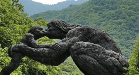 湖北神农架出现过山黄，既像虎又像豹，是华南虎的2倍大4倍重野人人们动物