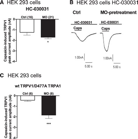 Figure 3 From Modulation Of Transient Receptor Vanilloid 1 Activity By